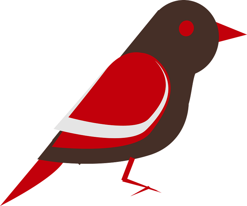 Bird - Free vector clipart images on creazilla.com