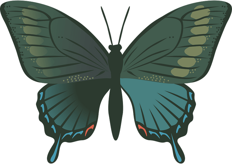Butterfly - Free vector clipart images on creazilla.com