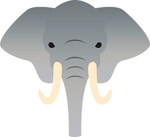 Elephant Teeth Clipart