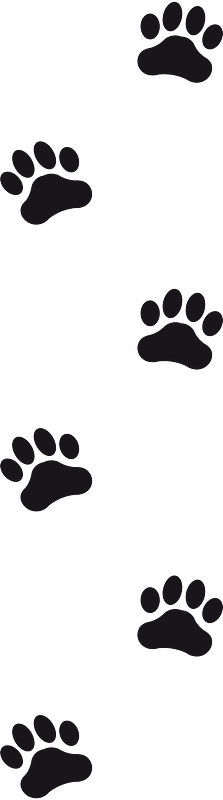 Footprints animal - Free vector clipart images on creazilla.com