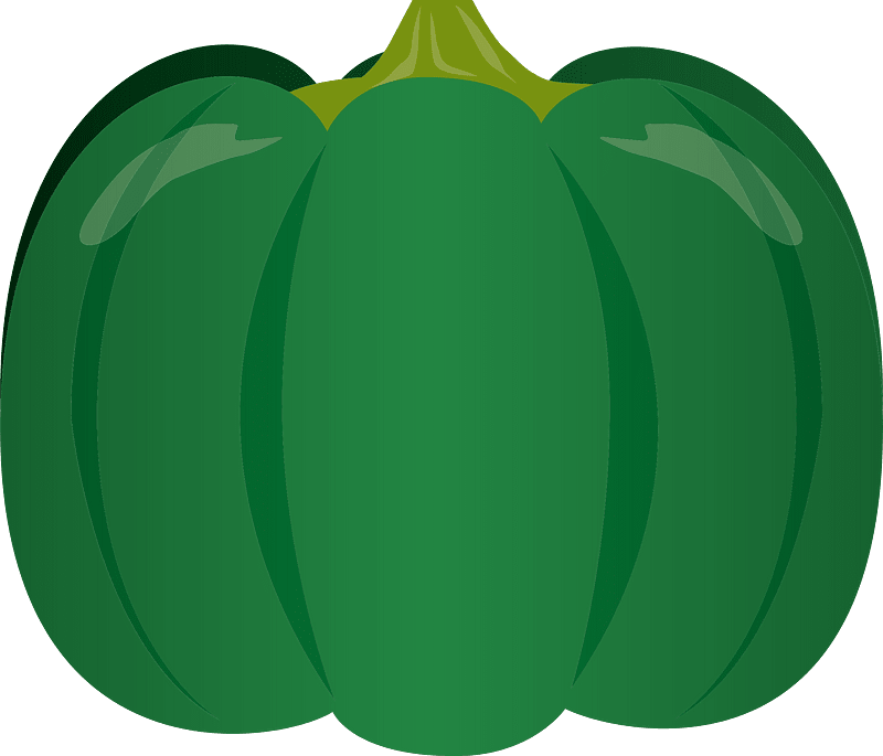 Green squash - Free vector clipart images on creazilla.com