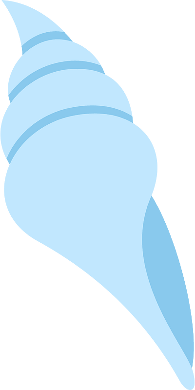 Seashell clipart. Free download transparent .PNG | Creazilla