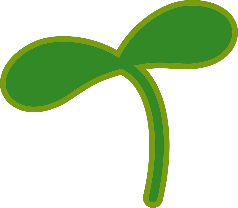Sprout plant - Free vector clipart images on creazilla.com
