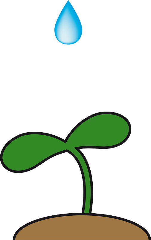 Sprout plant - Free vector clipart images on creazilla.com