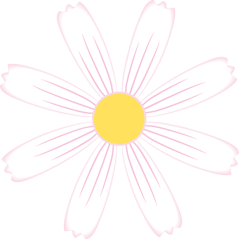 White flower - Free vector clipart images on creazilla.com