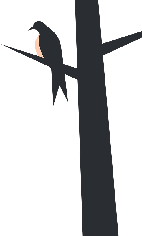 Bird on tree clipart. Free download transparent .PNG | Creazilla