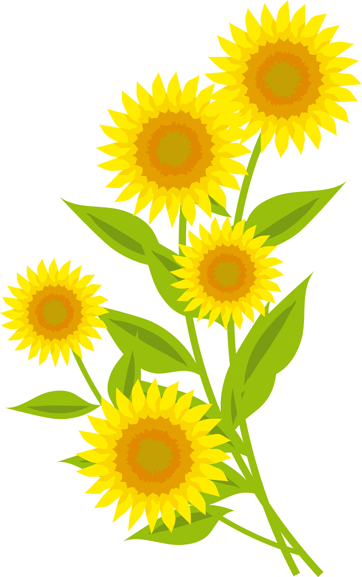 Sunflower Garden Clipart