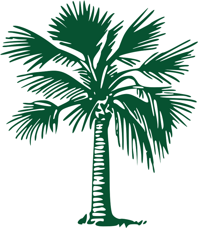 Palmtreelogo Clipart Free Download Transparent PNG Creazilla