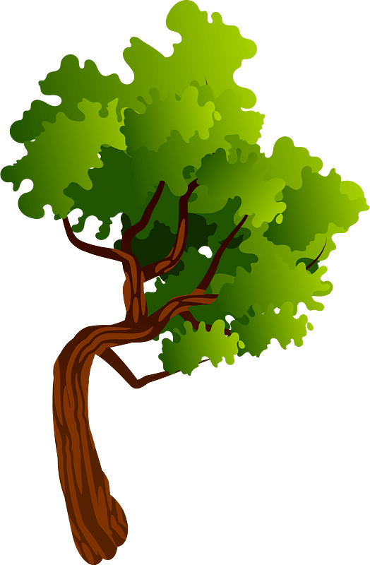 Deciduous tree clipart. Free download transparent .PNG | Creazilla