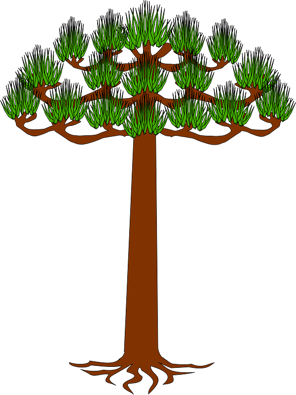 Heraldic tree clipart. Free download transparent .PNG | Creazilla