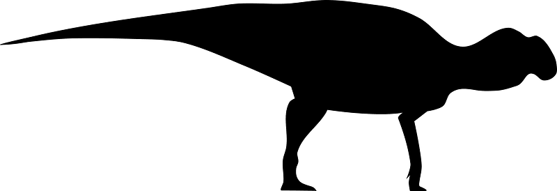 Gryposaurus Silhouette clipart. Free download transparent .PNG | Creazilla