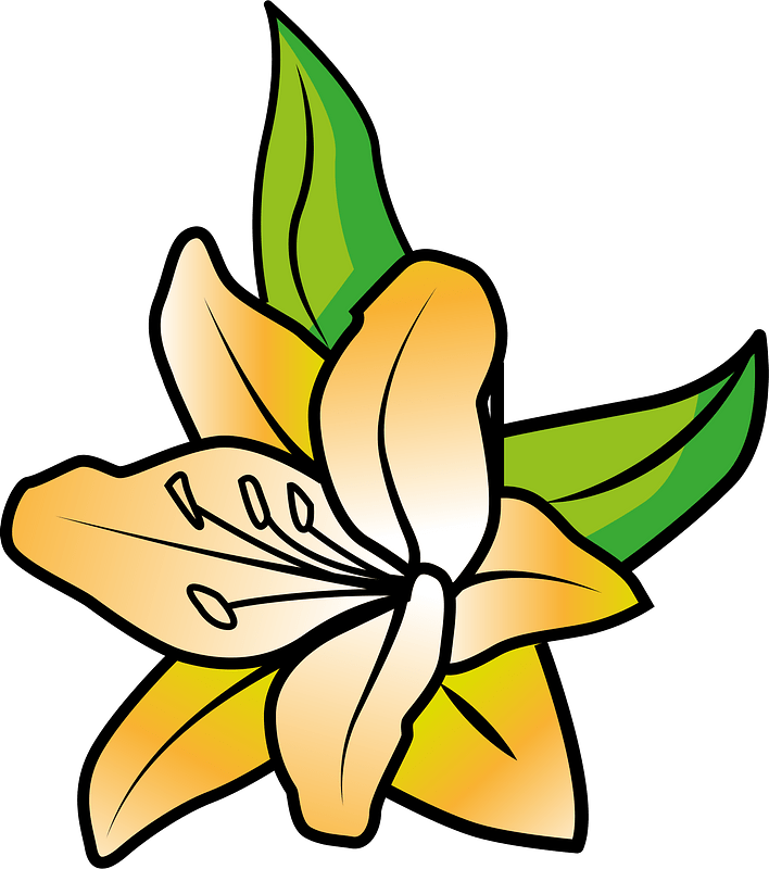 Flor clipart. Dibujos animados descargar gratis. | Creazilla