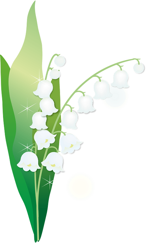 Lily Of The Valley Clip Art
