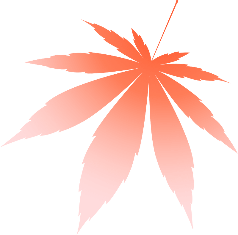 Maple leaf - Free vector clipart images on creazilla.com