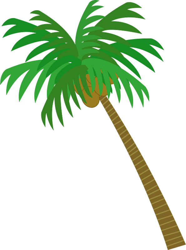 Palm tree clipart. Free download transparent .PNG | Creazilla