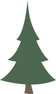 Spruce tree clipart. Free download transparent .PNG | Creazilla