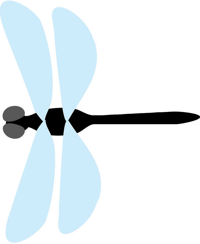 Dragonfly clipart. Free download transparent .PNG | Creazilla