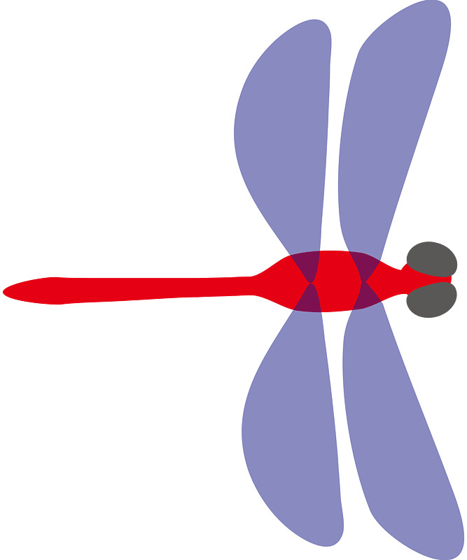 Dragonfly clipart. Free download transparent .PNG | Creazilla