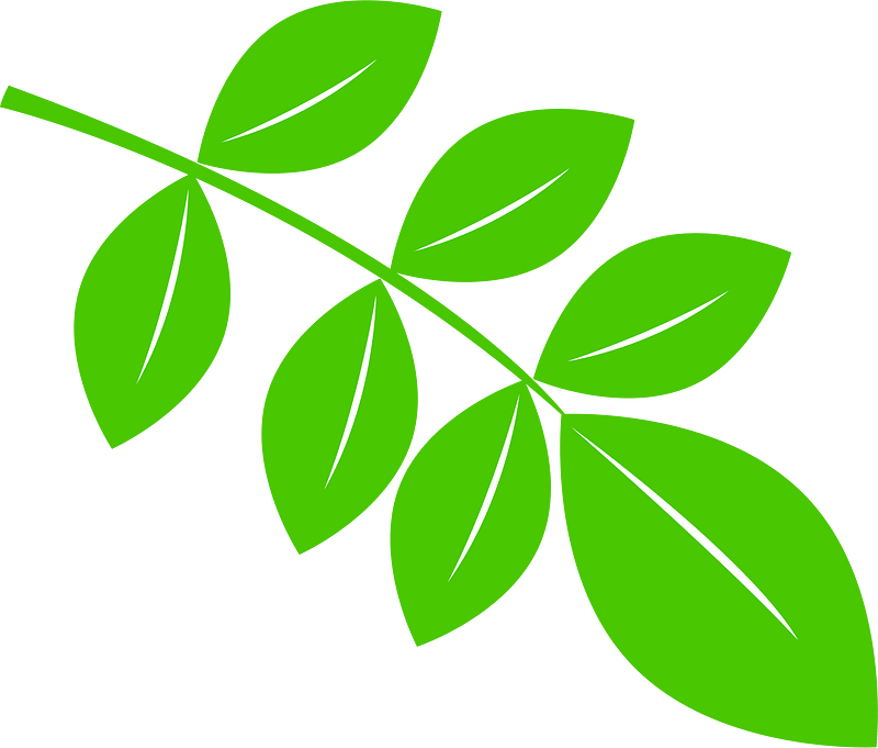 Green Leaves Clip Art Png