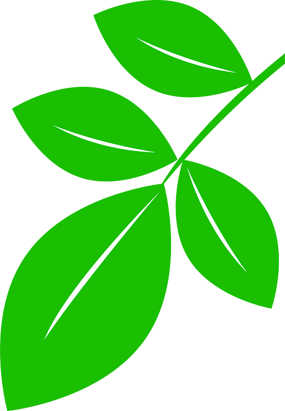 Grüne Blätter clipart. Kostenloser Download. | Creazilla