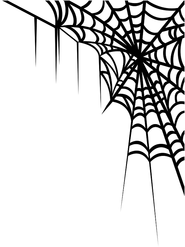 Spider web clipart. Free download transparent .PNG | Creazilla