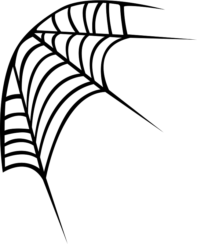 Spider web clipart. Free download transparent .PNG | Creazilla