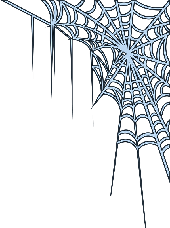 Spider web clipart. Free download transparent .PNG | Creazilla