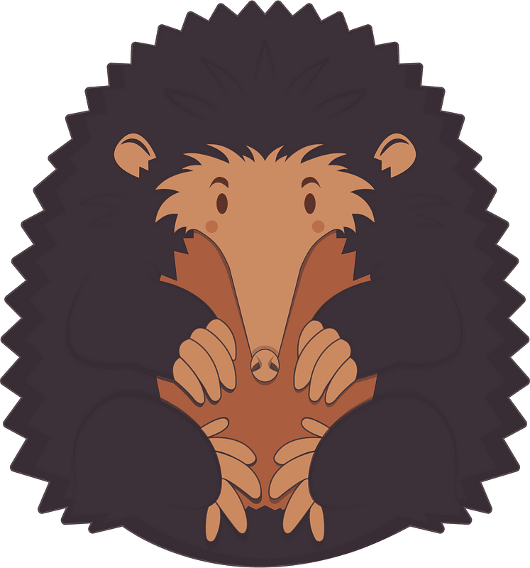 Echidna clipart. Free download transparent .PNG | Creazilla
