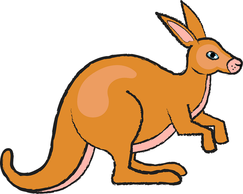 Kangaroo clipart. Free download transparent .PNG | Creazilla