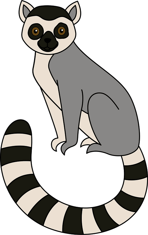 Lemur clipart. Free download transparent .PNG | Creazilla