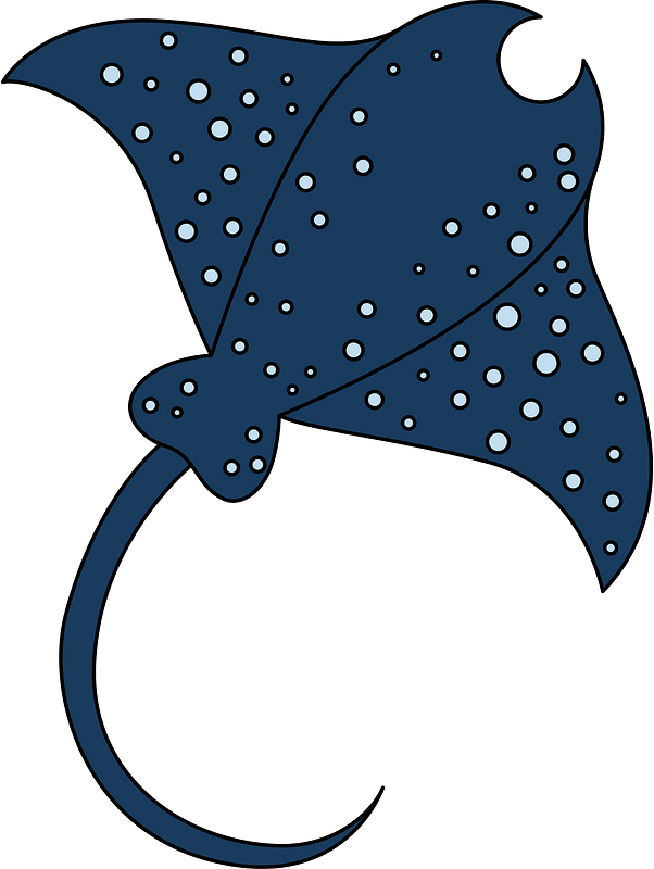 Stingray clipart. Free download transparent .PNG | Creazilla