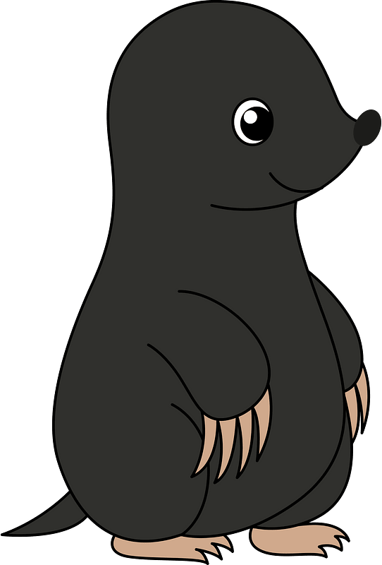 Mole clipart. Free download transparent .PNG | Creazilla
