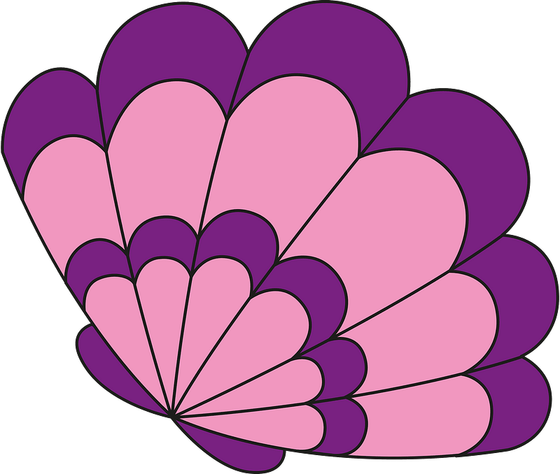 Shell clipart. Free download transparent .PNG | Creazilla