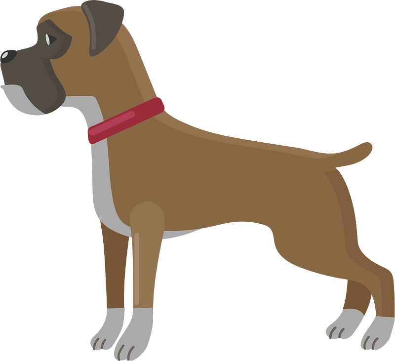 King Fit Boxers Transparent Crotch White