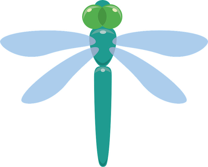 Dragonfly - Free vector clipart images on creazilla.com