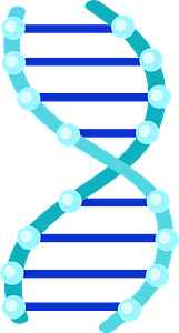 DNA - Free vector clipart images on creazilla.com