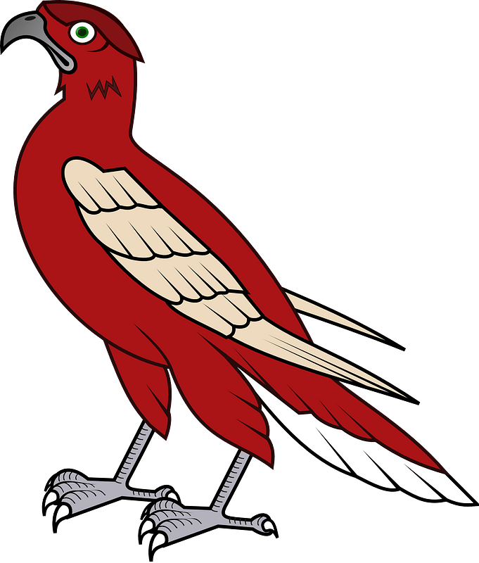 Hawk Clipart Png Images