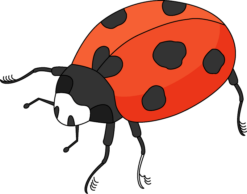 Ladybug clipart. Free download transparent .PNG | Creazilla