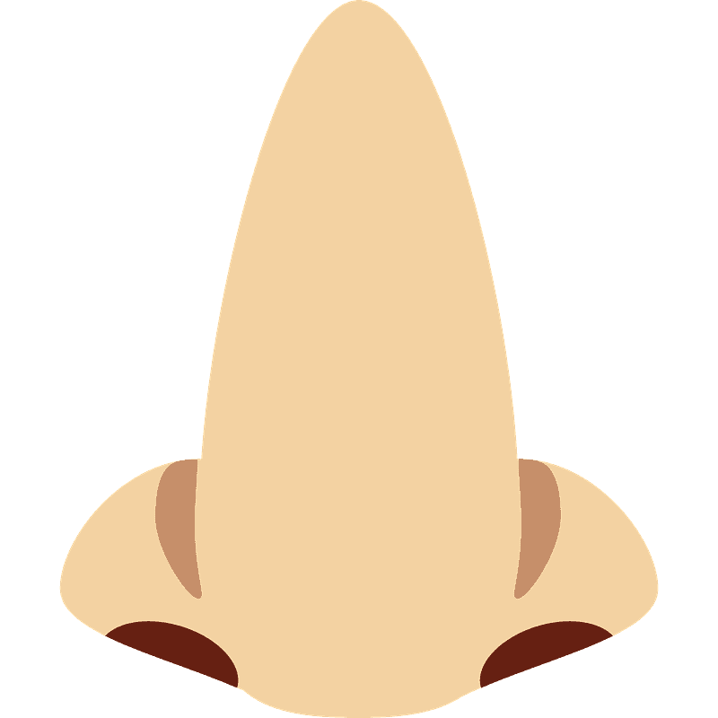 Peau moyennement claire nez image clipart. Téléchargement gratuit ...