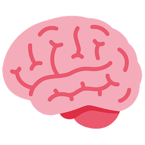 Hjerne emoji clipart. Gratis download. | Creazilla