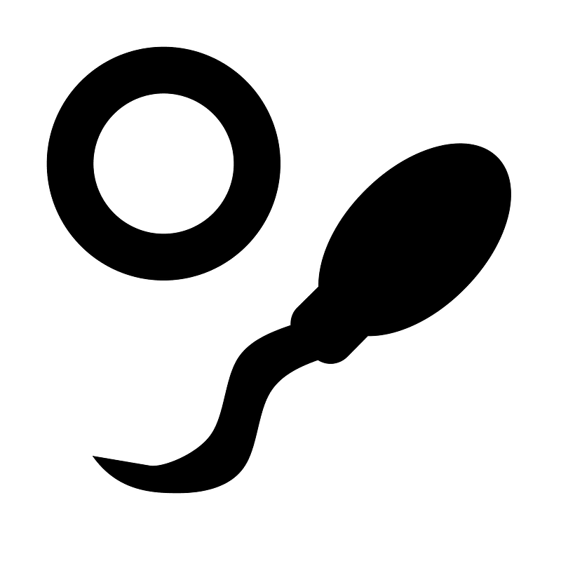 Reproduction - Free vector icons on creazilla.com