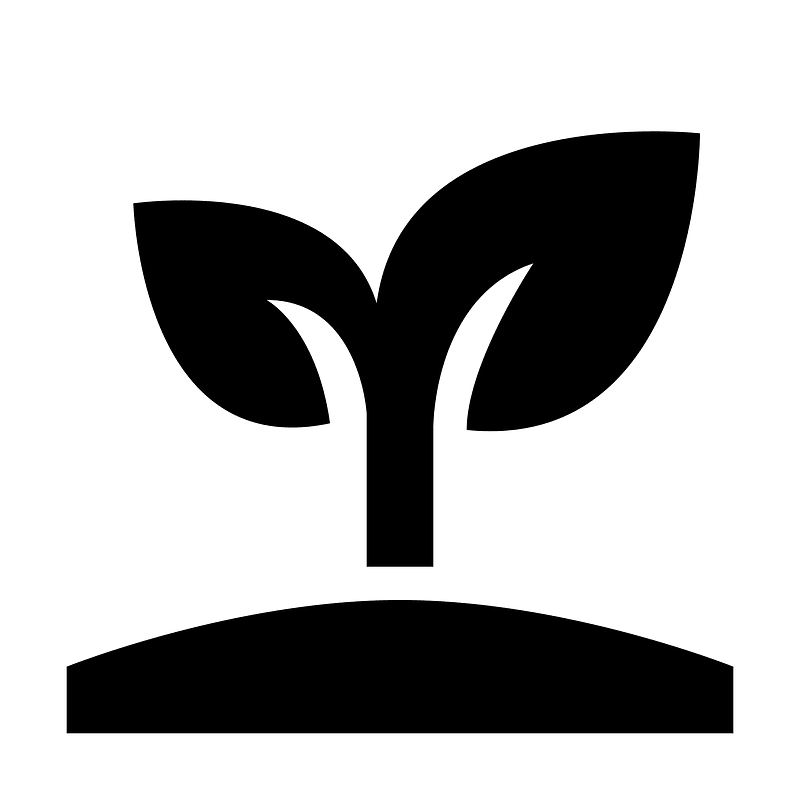 Sprout - Free vector icons on creazilla.com