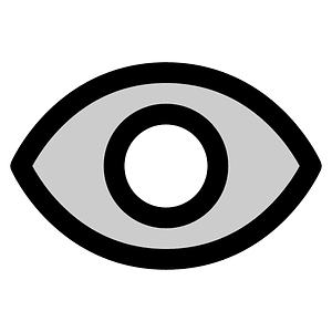 Eye icon. Free download transparent .PNG | Creazilla