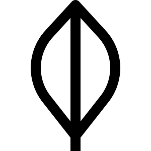 Mongodb icon. Free download transparent .PNG | Creazilla