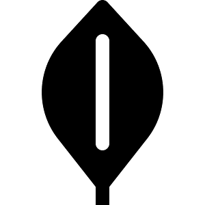 Mongodb icon. Free download transparent .PNG | Creazilla