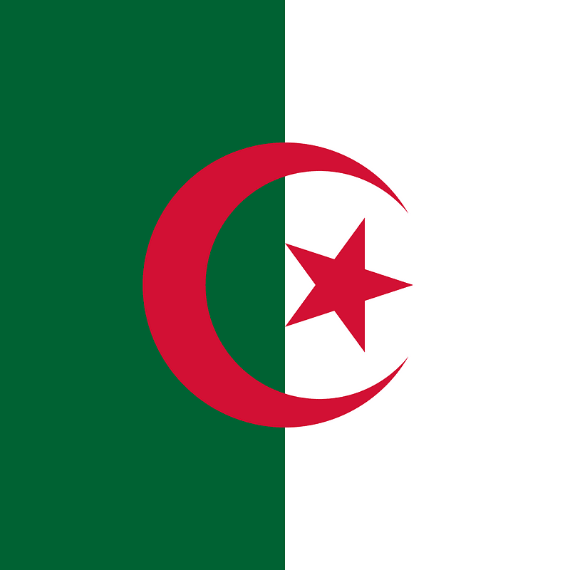 DZ flag icon. Free download transparent .PNG | Creazilla