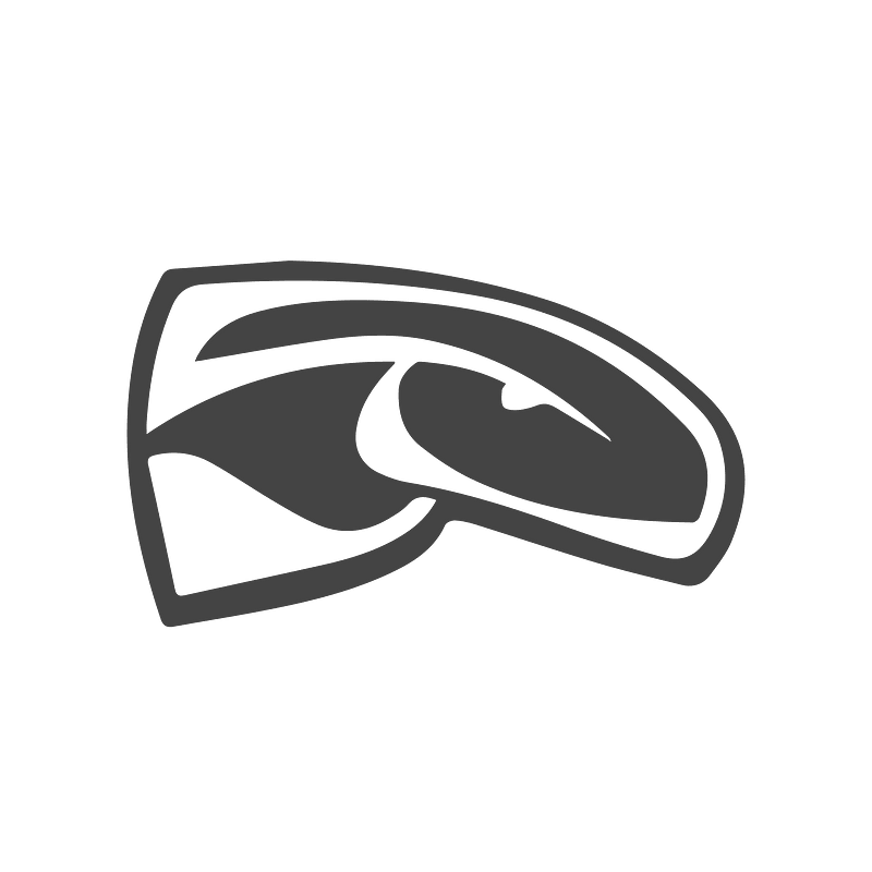 Komodo icon. Free download transparent .PNG | Creazilla