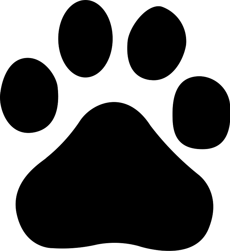 Baidu - Free vector icons on creazilla.com