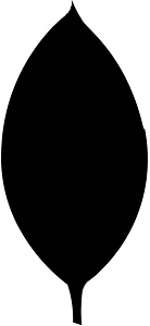 Mongodb icon. Free download transparent .PNG | Creazilla