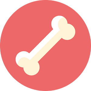 Bone-flat - Free vector icons on creazilla.com